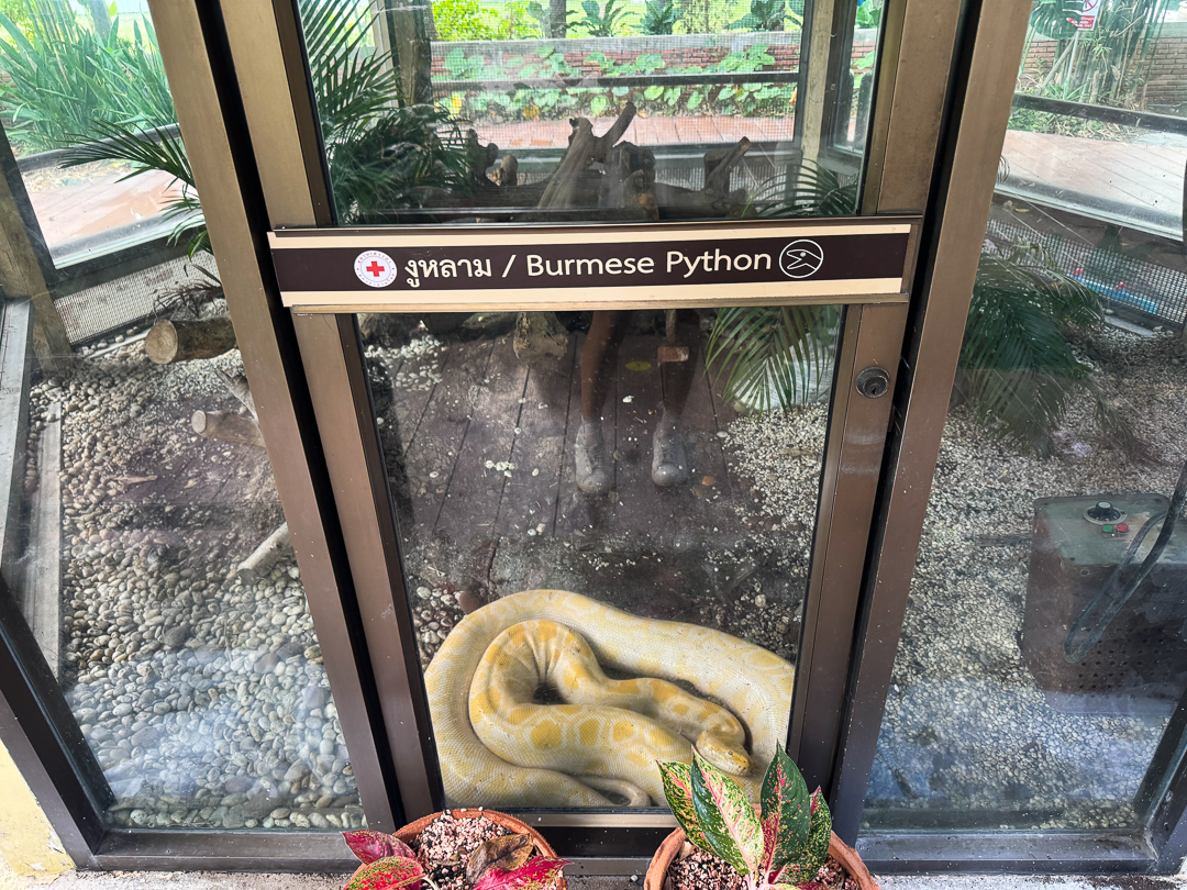 Snake Farm in Bangkok Review - Monice